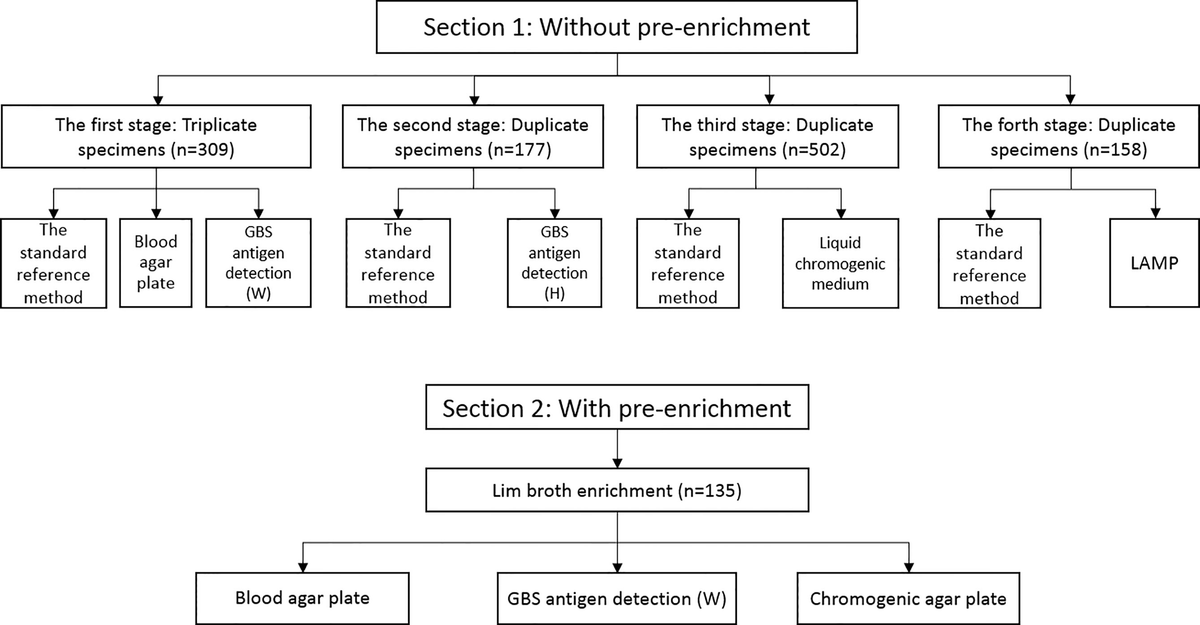 Frontiers | Diagnostic Performance of Various Methodologies for Group B ...