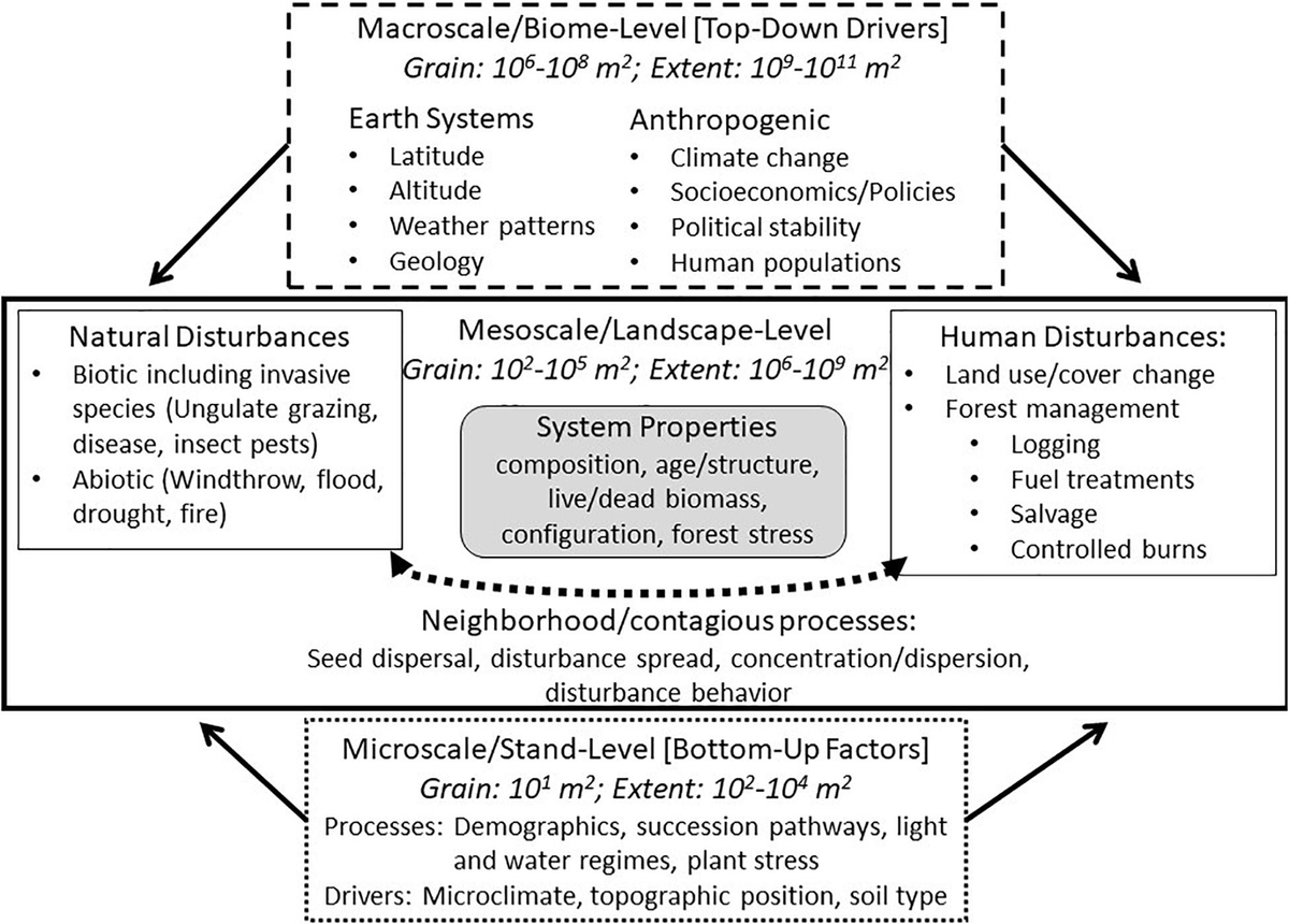 Frontiers | Understanding and Modeling Forest Disturbance Interactions ...