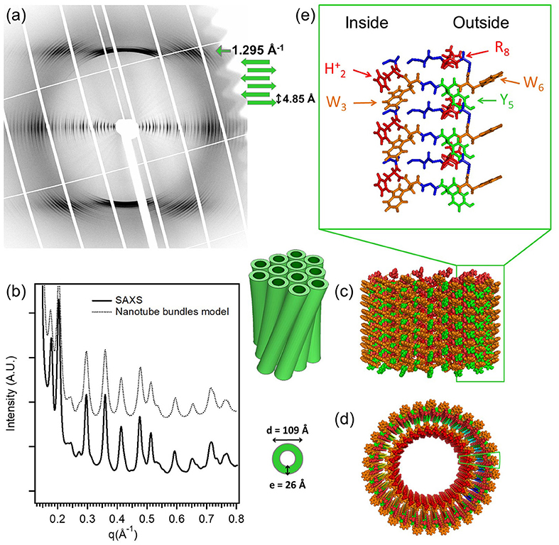 Frontiers | Multiscale Structural Elucidation of Peptide Nanotubes by X ...