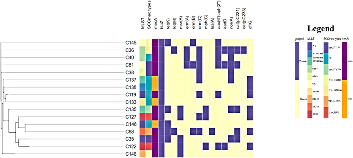 Frontiers | Genomic Analysis of Antibiotic-Resistant Staphylococcus ...