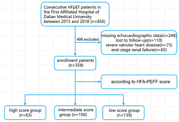 Frontiers | Predictive Value of HFA-PEFF Score in Patients With Heart ...