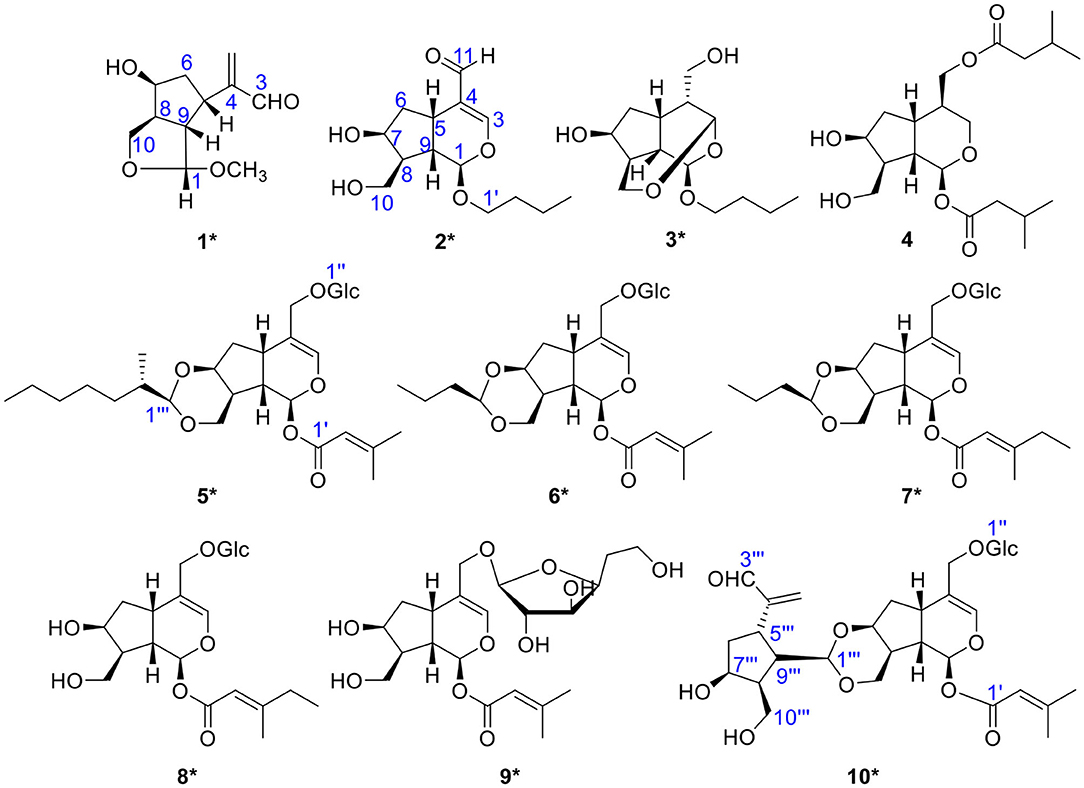 Frontiers | Nine Unique Iridoids and Iridoid Glycosides From Patrinia ...