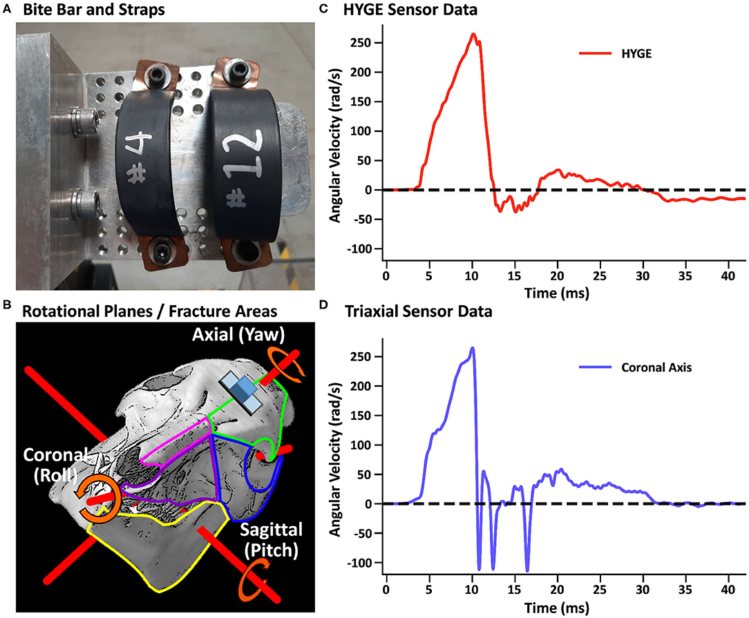 Frontiers | Reproducibility and Characterization of Head Kinematics ...