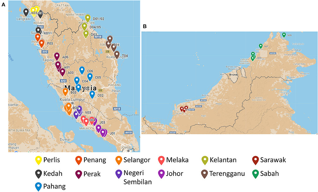 Frontiers | Geographical Factor Influences the Metabolite Distribution ...