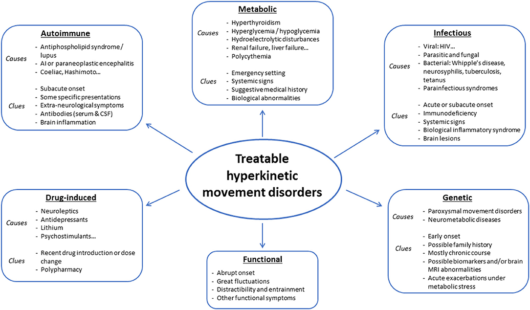 Frontiers | Treatable Hyperkinetic Movement Disorders Not to Be Missed