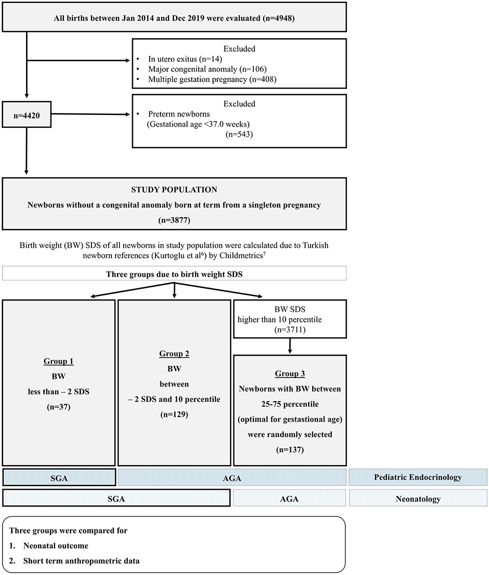 Frontiers | Neonatal Problems and Infancy Growth of Term SGA Infants ...