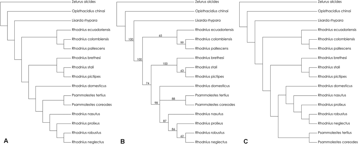 Frontiers | Historical Biogeography and the Evolution of Hematophagy in ...