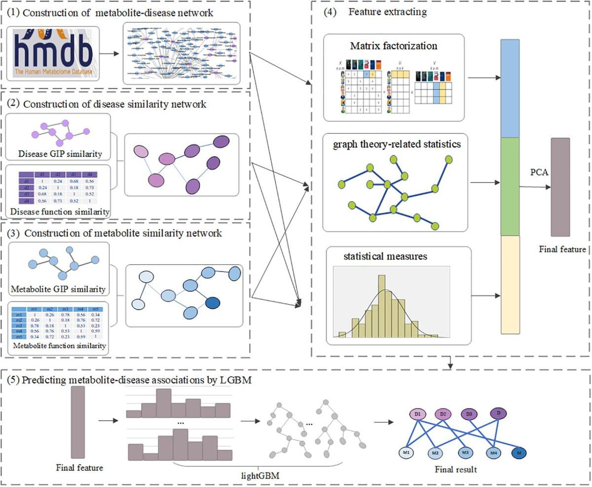 Frontiers | Predicting Metabolite–Disease Associations Based on ...