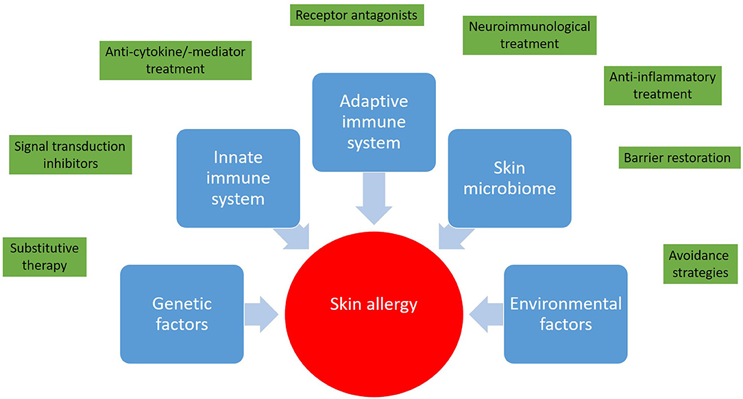 Frontiers | Contemporary Grand Challenges and Opportunities in Skin ...