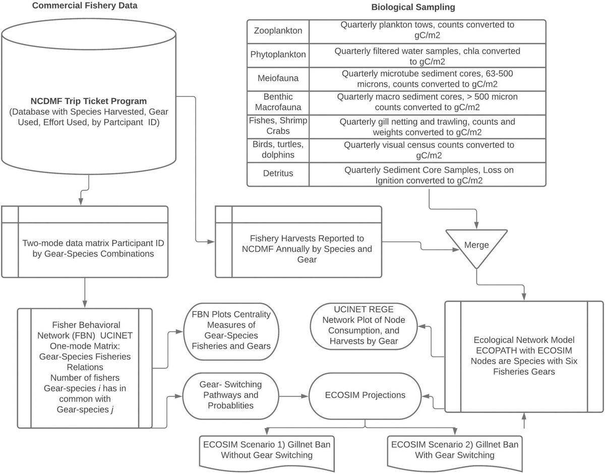 Frontiers | Linking Fishing Behavior and Ecosystem Dynamics Using ...