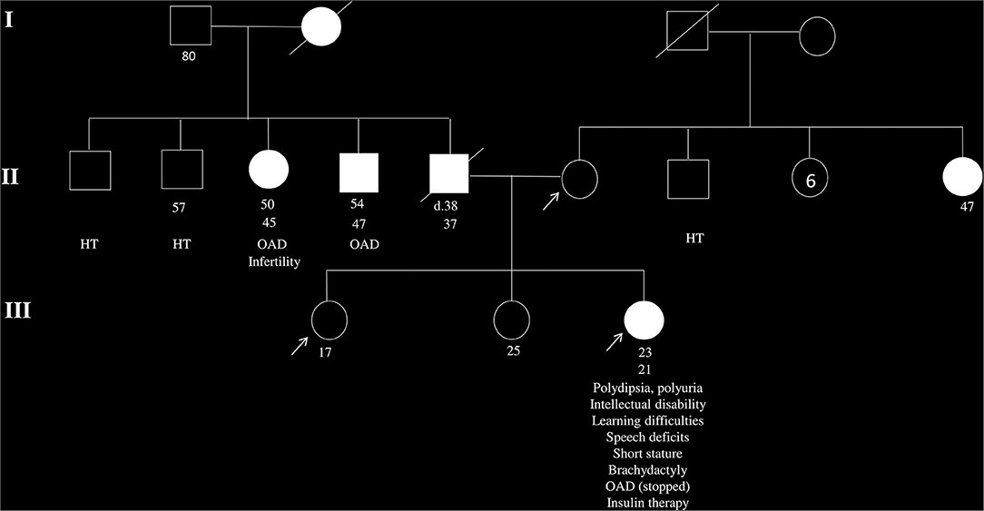 Frontiers | Multiallelic Rare Variants in BBS Genes Support an ...