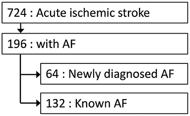 Frontiers | Stroke Severity and Outcomes in Patients With Newly ...