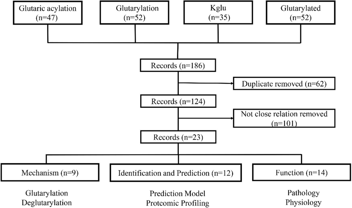 Frontiers | Functions and Mechanisms of Lysine Glutarylation in Eukaryotes