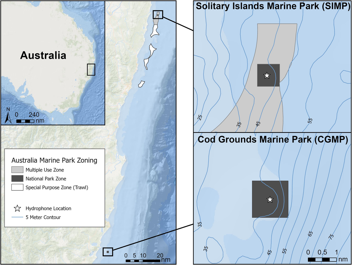 Frontiers | Biological Sound Sources Drive Soundscape Characteristics ...