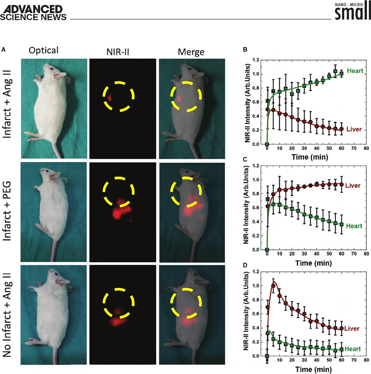 Frontiers | Targeting Contrast Agents With Peak Near-Infrared-II (NIR ...
