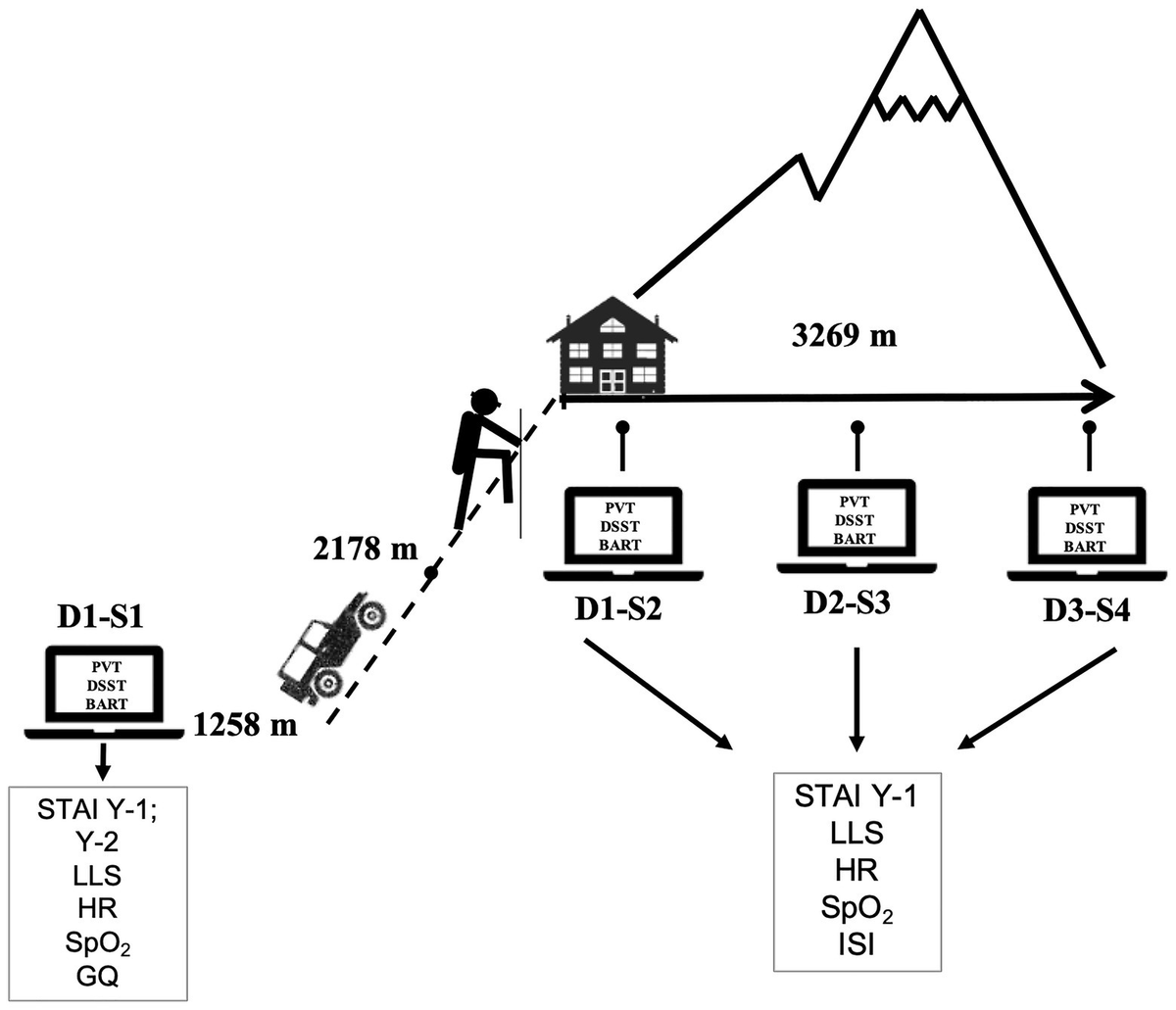 Frontiers | A Prospective Evaluation of the Acute Effects of High ...