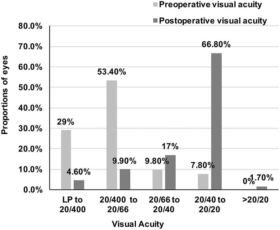 Frontiers | Clinical Characteristics and Early Visual Outcomes of ...
