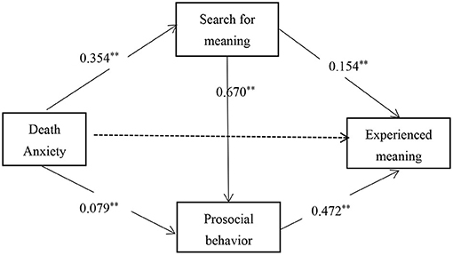 Frontiers | The Indirect Effect of Death Anxiety on Experienced Meaning ...