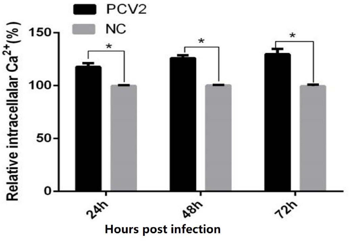 Frontiers | PCV2 Triggers PK-15 Cell Apoptosis Through the PLC–IP3R–Ca2 ...