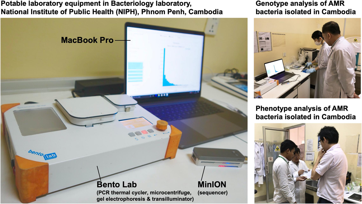 Frontiers | On-Site Genomic Epidemiological Analysis of Antimicrobial ...