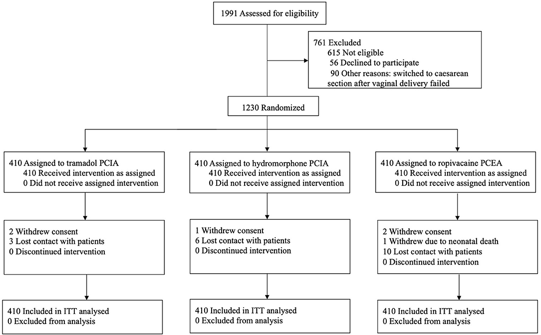 Frontiers | A Patient-Controlled Intravenous Analgesia With Tramadol ...