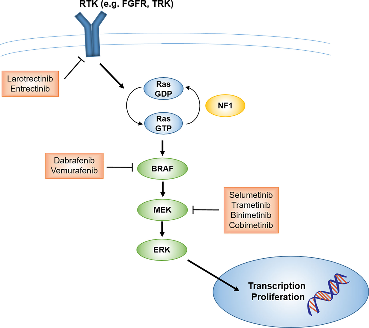 Frontiers | The Evolving Role of Radiotherapy for Pediatric Cancers ...