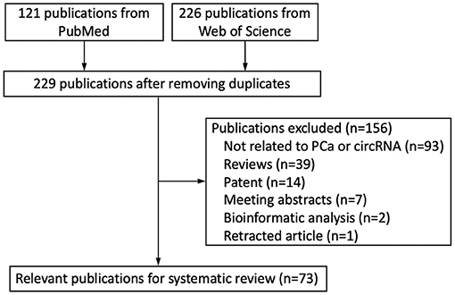 Frontiers The Emerging Role Of Circular Rnas In Prostate Cancer A
