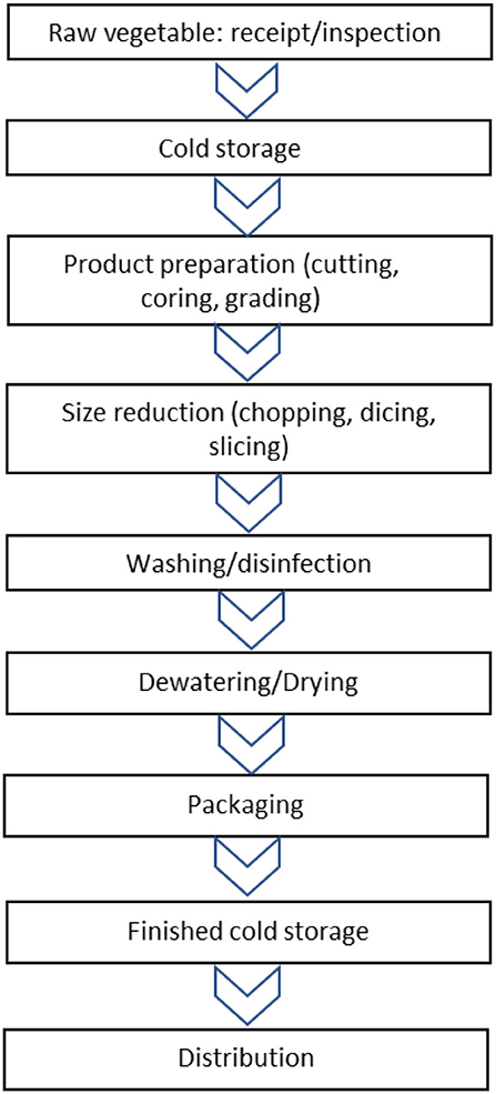 Frontiers | Fresh-Cut Vegetables Processing: Environmental ...