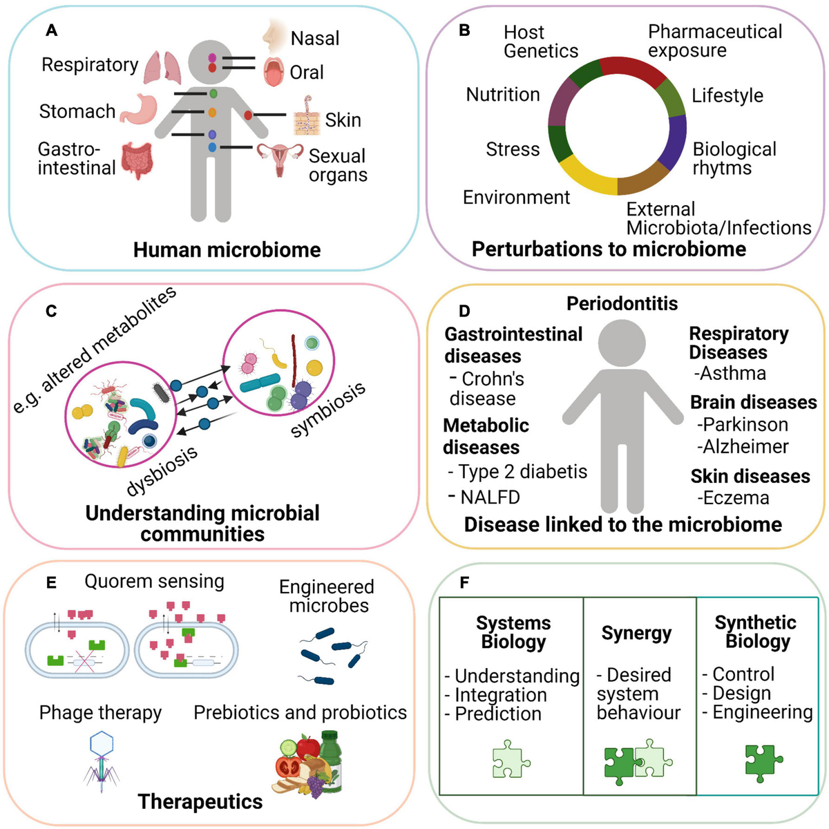 Frontiers | Synergies of Systems Biology and Synthetic Biology in Human ...