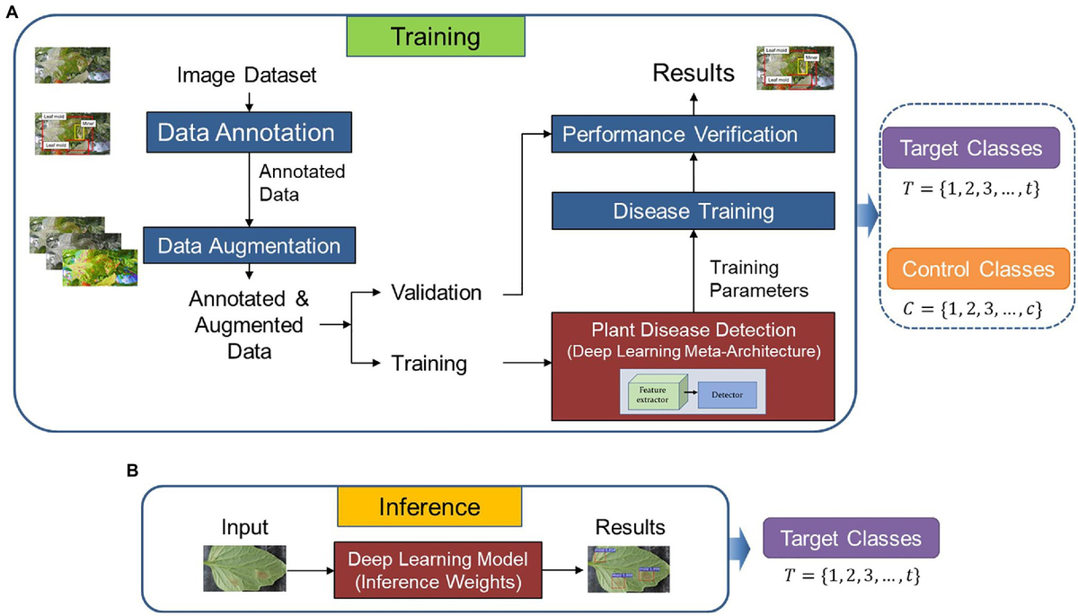 Frontiers | Improving Accuracy of Tomato Plant Disease Diagnosis Based ...