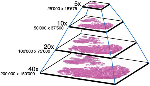 Frontiers | Multi_Scale_Tools: A Python Library to Exploit Multi-Scale Whole Slide Images