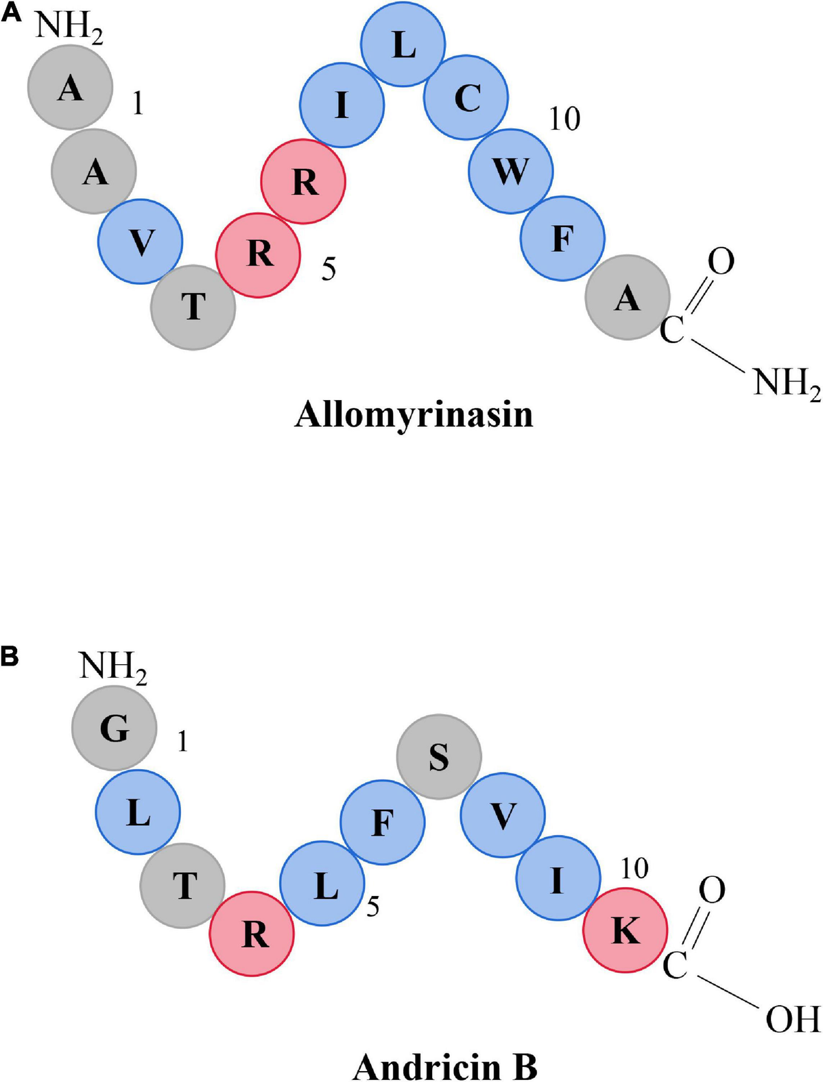 Frontiers | Evaluation of Short-Chain Antimicrobial Peptides With ...