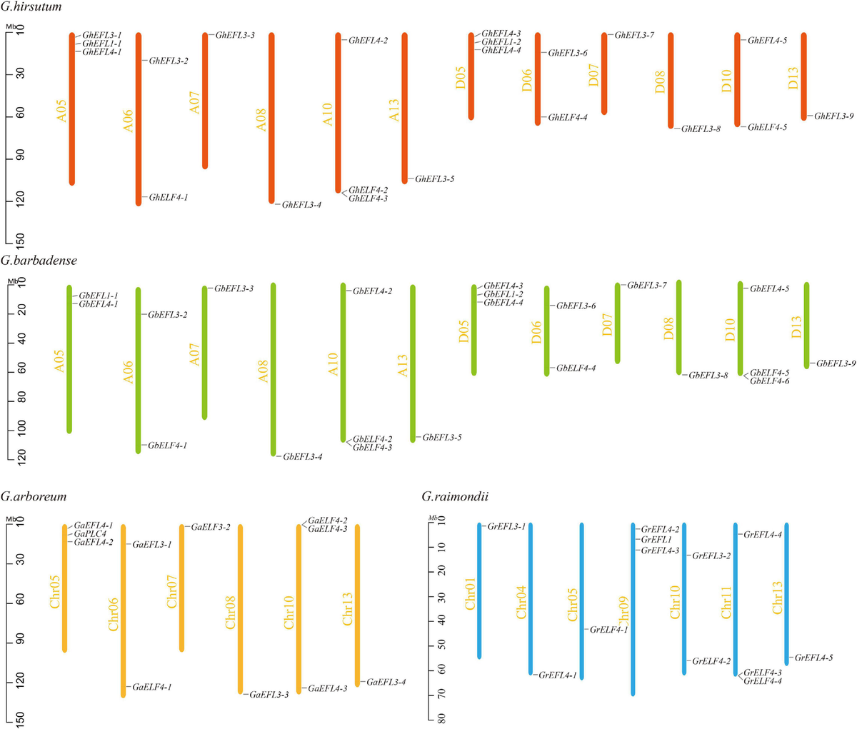 Frontiers | Genome-Wide Identification of the Early Flowering 4 (ELF4 ...