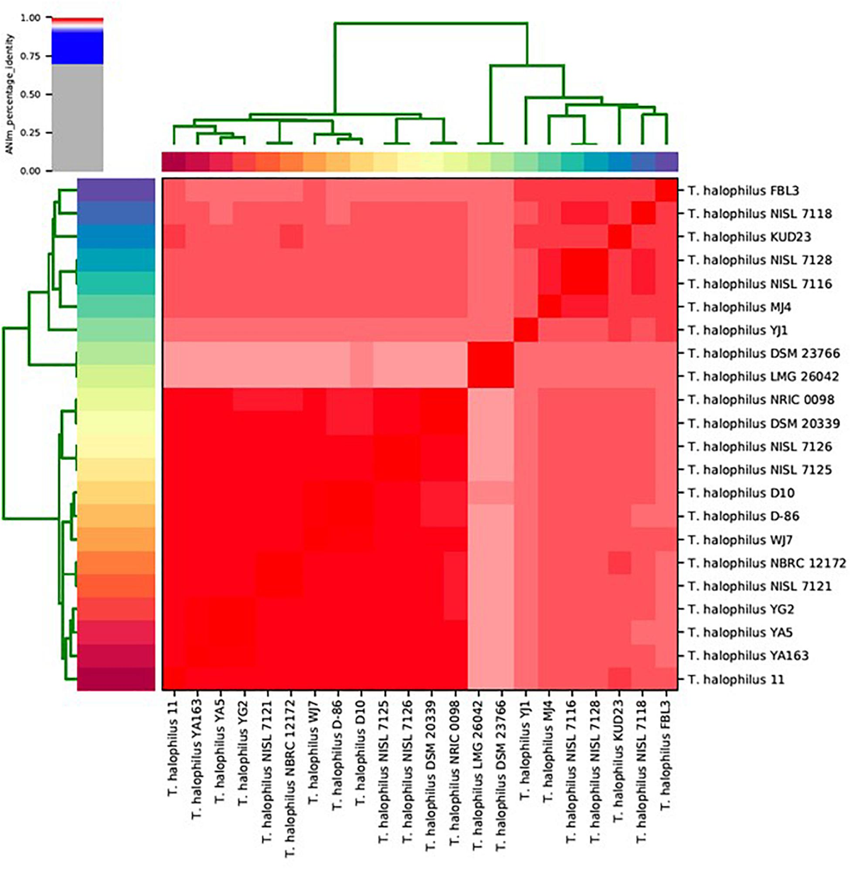 Frontiers | Comparative Genomics of Closely Related Tetragenococcus ...