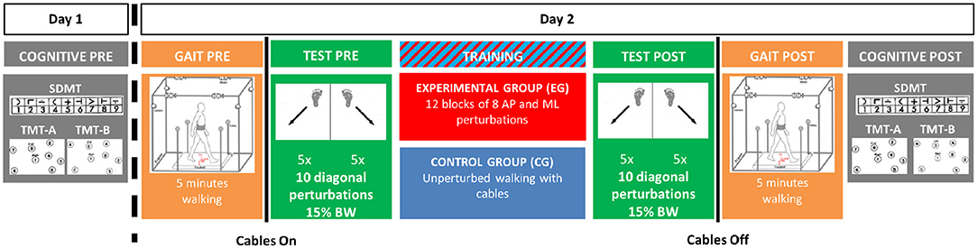 Frontiers | Acute Effects of a Perturbation-Based Balance Training on ...