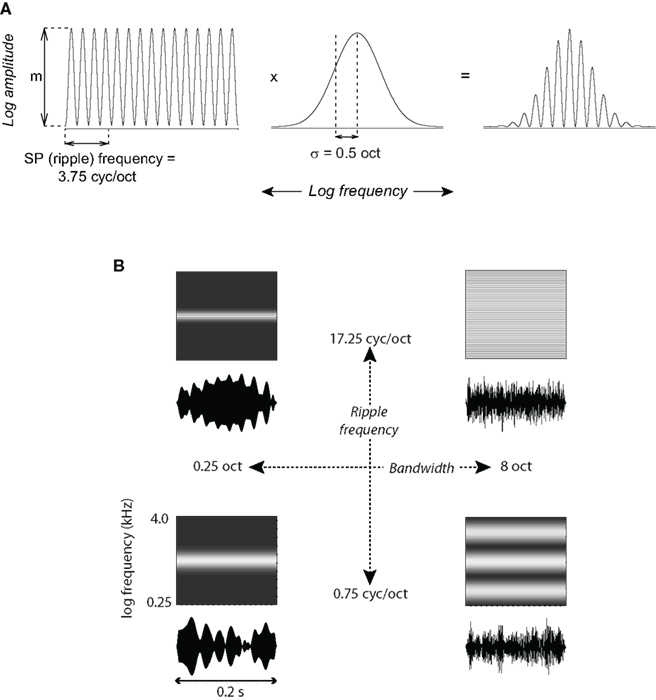 Frontiers | Complex Spectral Interactions Encoded by Auditory Cortical ...