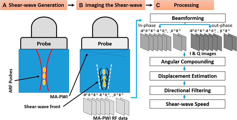 Frontiers | Phase-Aberration Correction in Shear-Wave Elastography ...