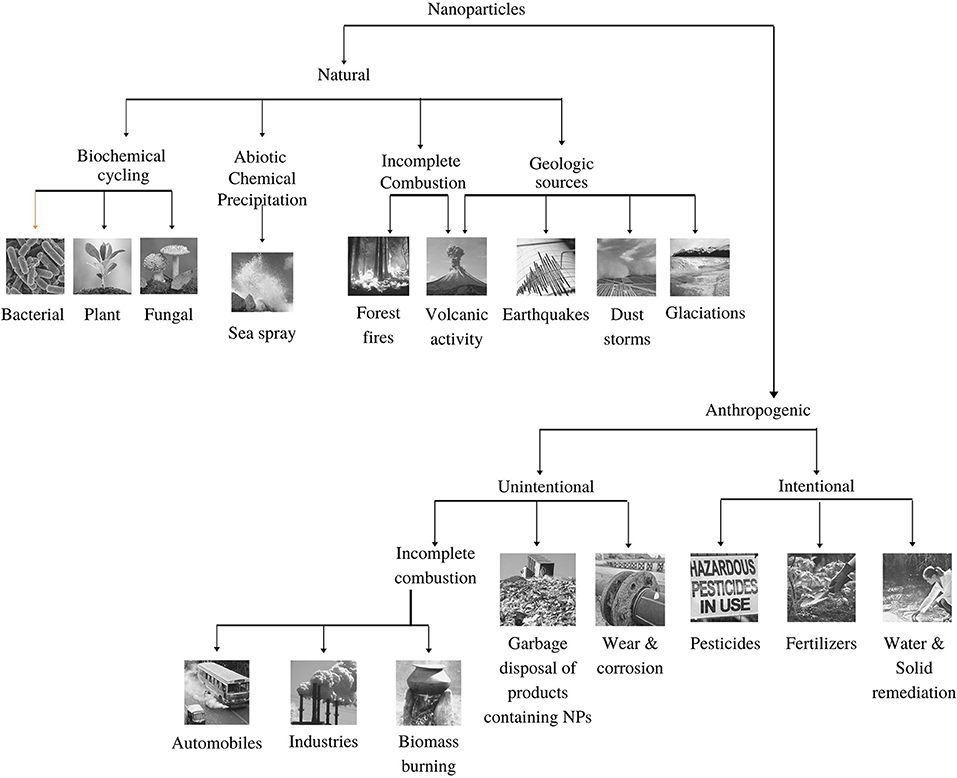Frontiers | Inhalation Exposure to Atmospheric Nanoparticles and Its ...