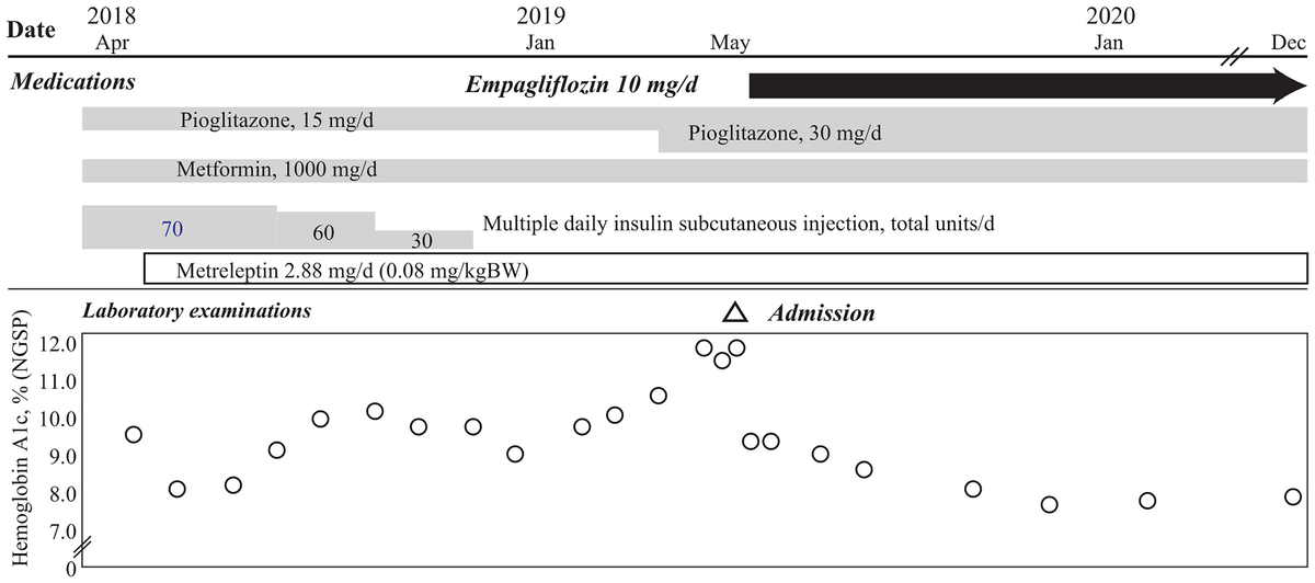 Frontiers | Case Report: Metreleptin and SGLT2 Inhibitor Combination ...