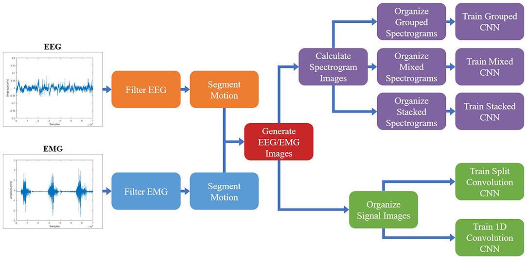 Frontiers | Evaluating Convolutional Neural Networks as a Method of EEG–EMG Fusion