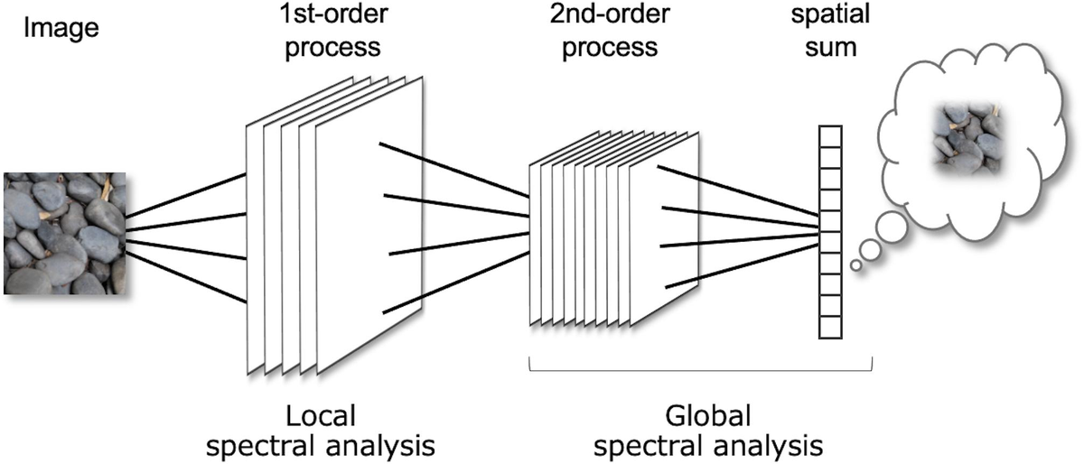 Frontiers | Human Texture Vision as Multi-Order Spectral Analysis