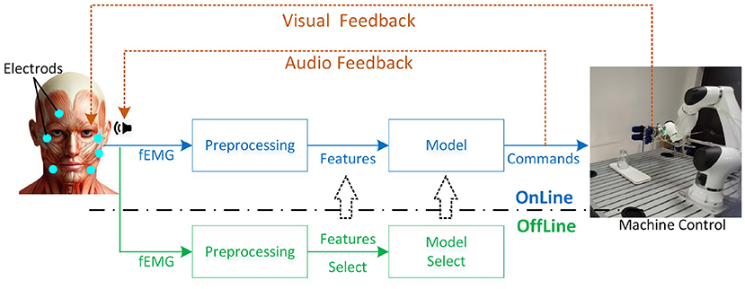 Frontiers | Face-Computer Interface (FCI): Intent Recognition Based on ...