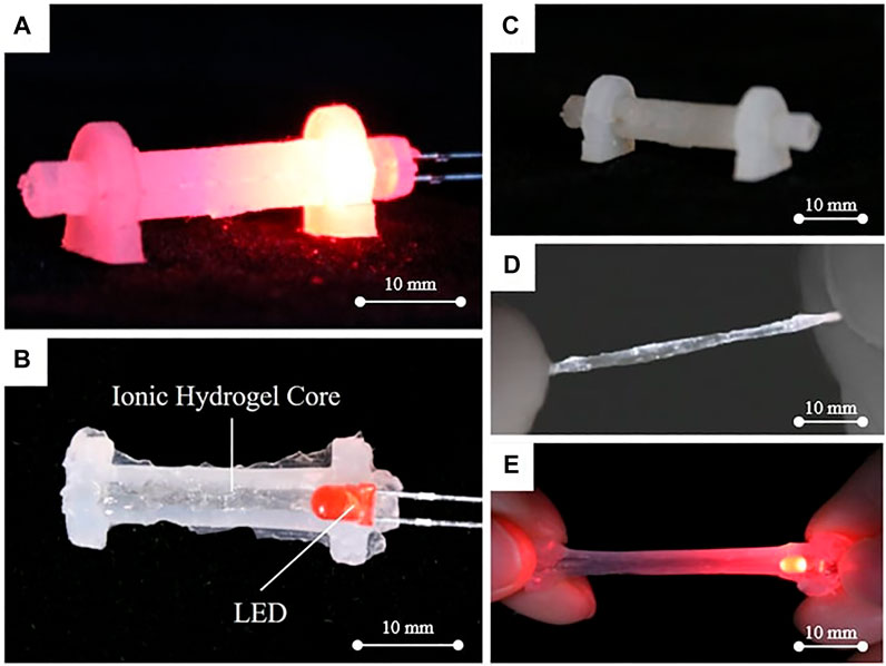 Frontiers | A Multimodal Hydrogel Soft-Robotic Sensor for Multi ...