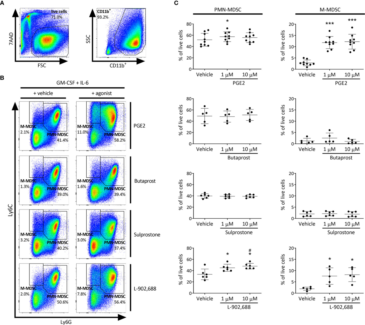 Frontiers | Myeloid-Derived Suppressor Cells Dampen Airway Inflammation ...
