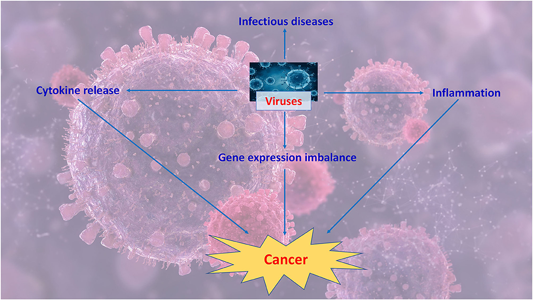 Frontiers | Editorial: Molecular Mechanisms of Pathogen-Driven ...