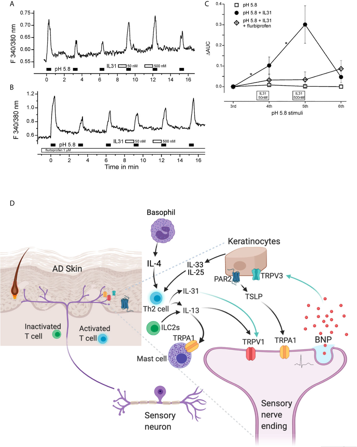 Frontiers | Th2 Modulation of Transient Receptor Potential Channels: An ...