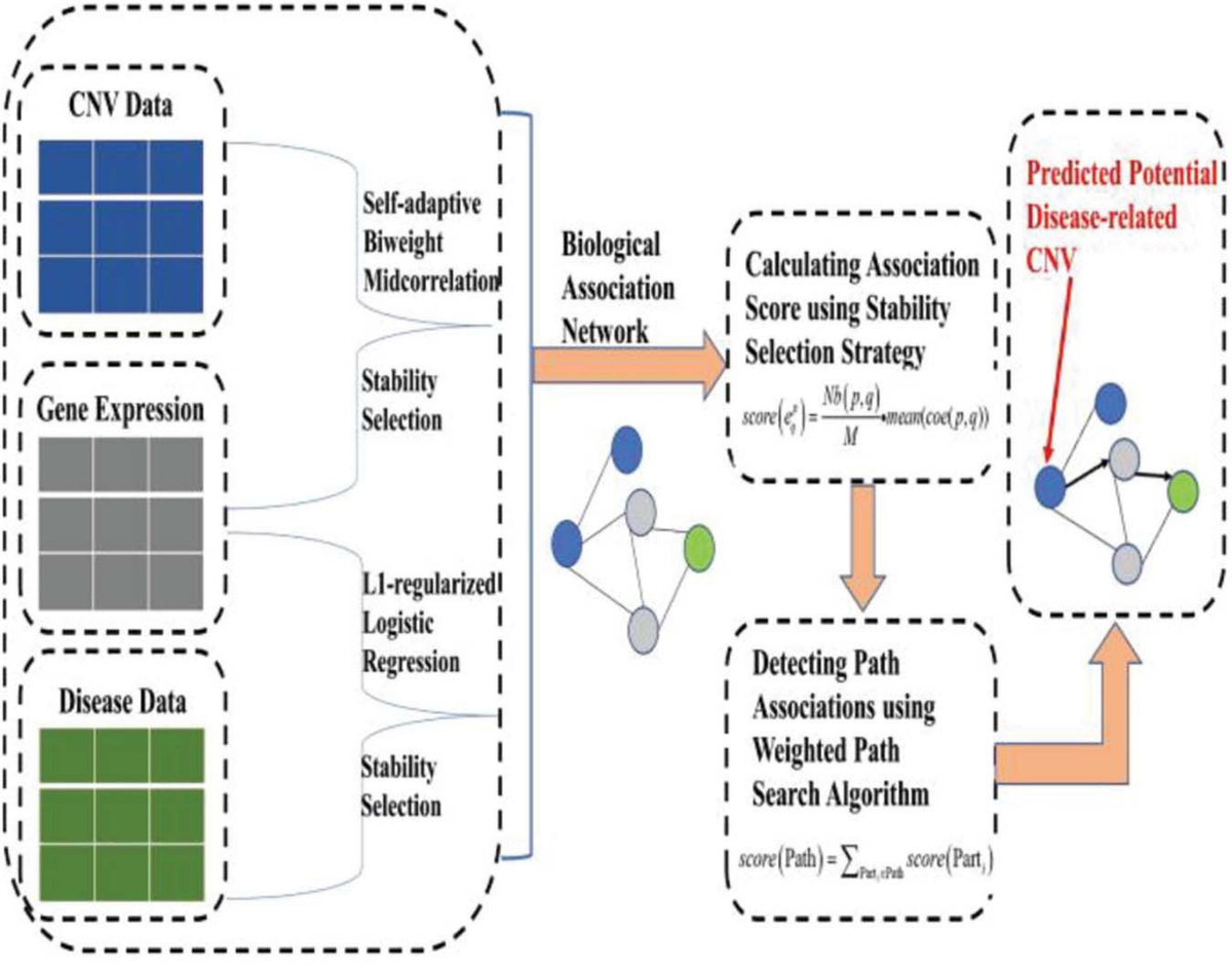 Frontiers A Novel Computational Framework To Predict Disease Related