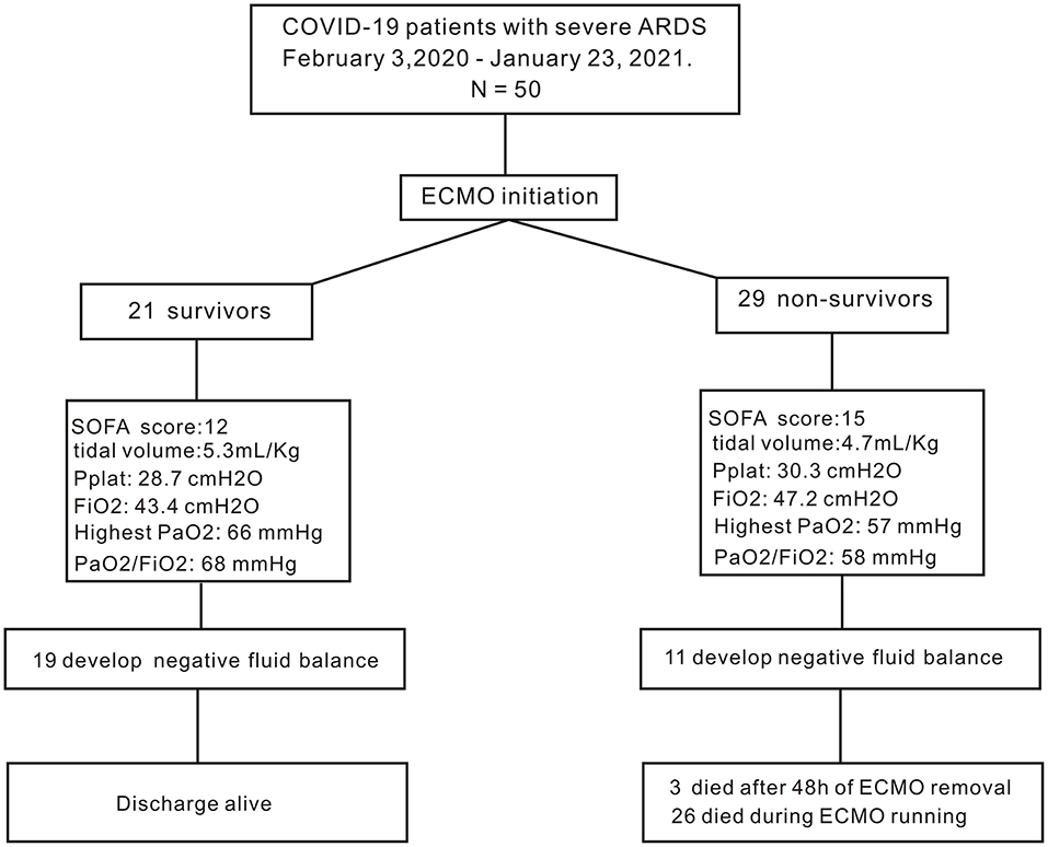 Frontiers | Severe Patients With ARDS With COVID-19 Treated With ...