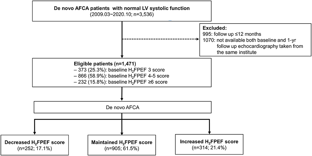 Frontiers | One-Year Change in the H2FPEF Score After Catheter Ablation ...
