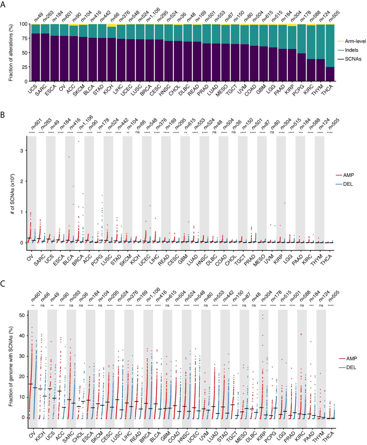 Frontiers | Somatic Copy Number Alterations in Human Cancers: An ...